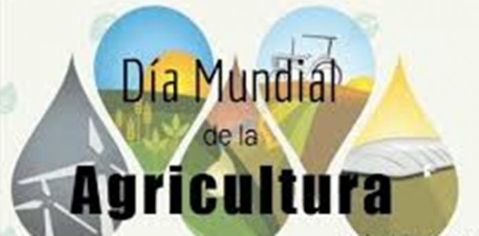 Día Mundial De La Agricultura Cadena Nueve Diario Digital