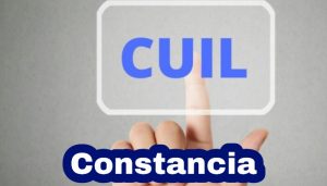 Los números de CUIL y CUIT ya no distinguirán genero | Cadena Nueve ...