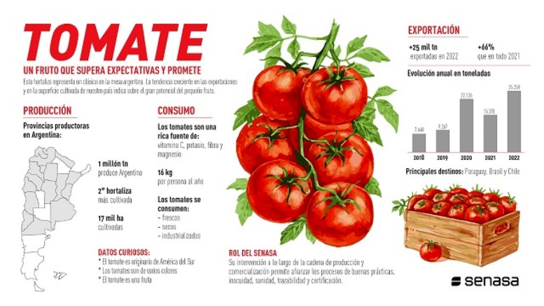 Tomate: un fruto que supera las expectativas y promete un sostenido ...