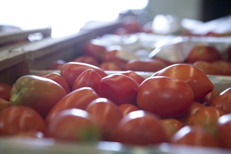 Tomate: un fruto que supera las expectativas y promete un sostenido ...