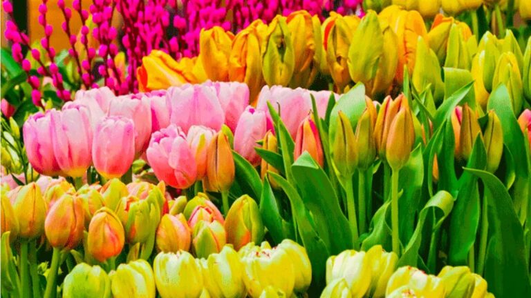 La primavera llega con temperaturas más altas de lo normal | Cadena ...