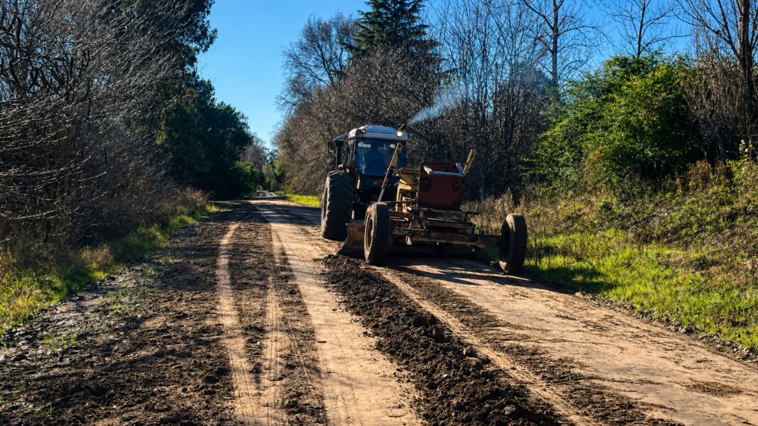 Continúan los trabajos de reparación y mantenimiento de calles en ...